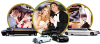 Royal Coach Limousine - Weddings, Airport & Party Bus Rental